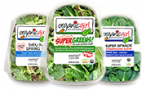 packaged salads and greens | organicgirl